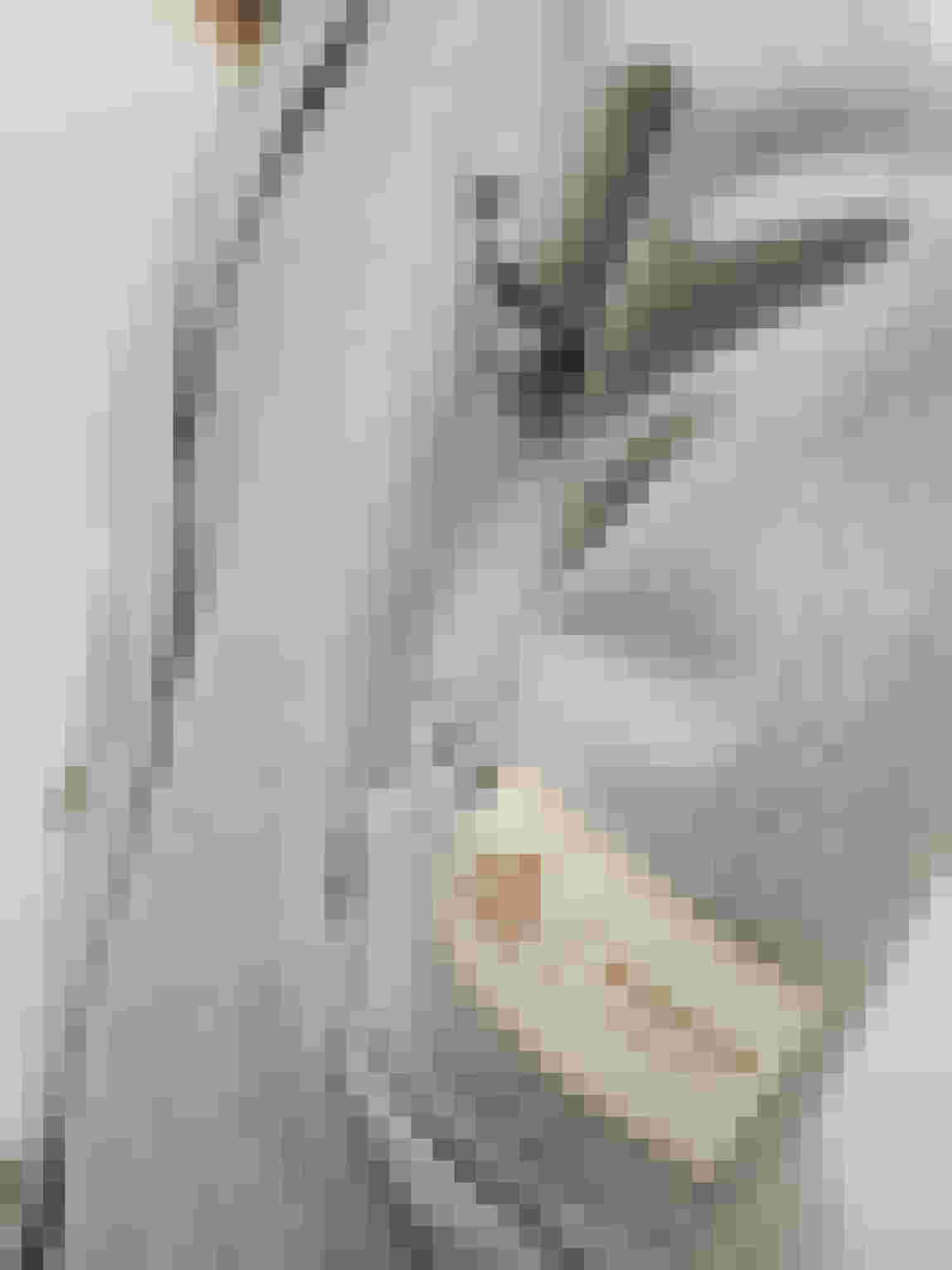 Wool Coats Guide | Aritzia CA