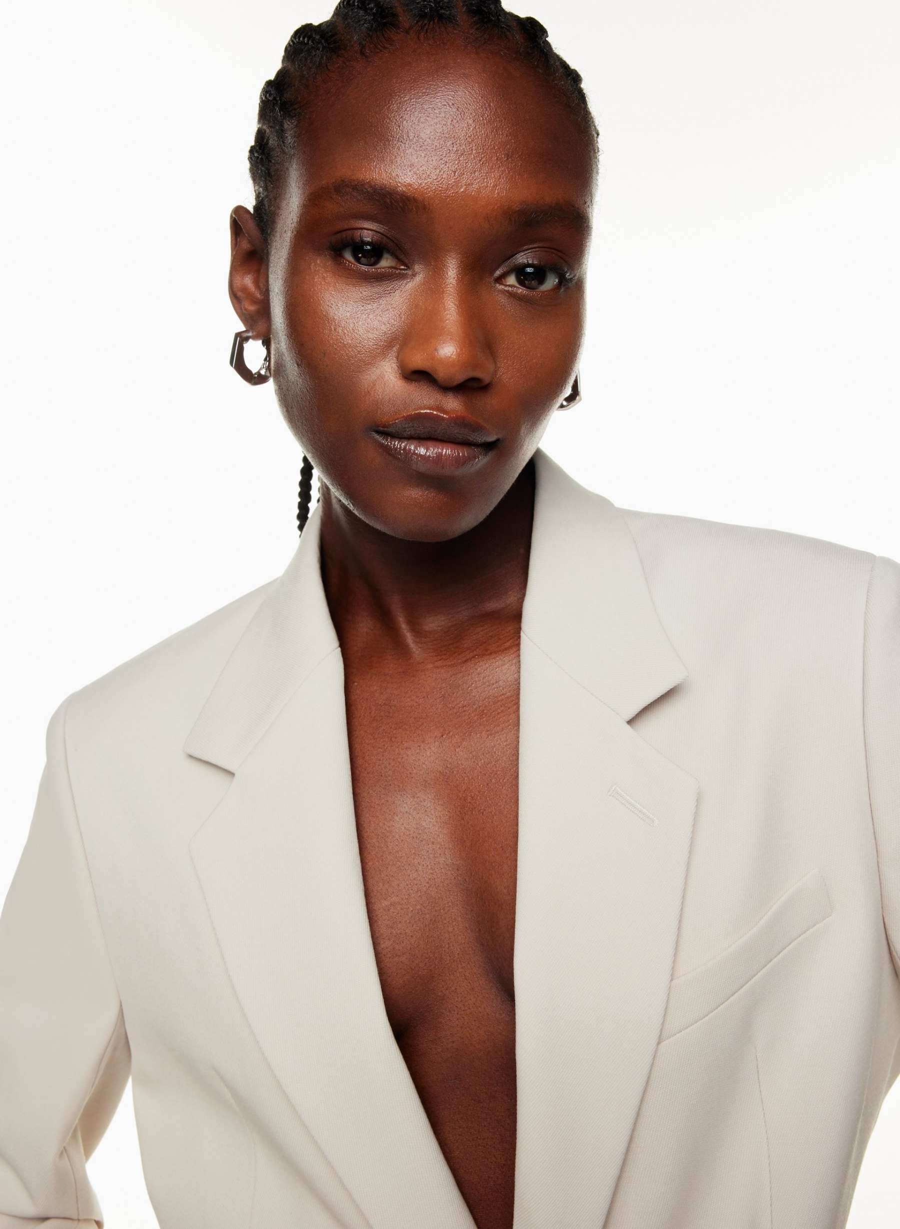 Babaton AGENCY BLAZER | Aritzia US