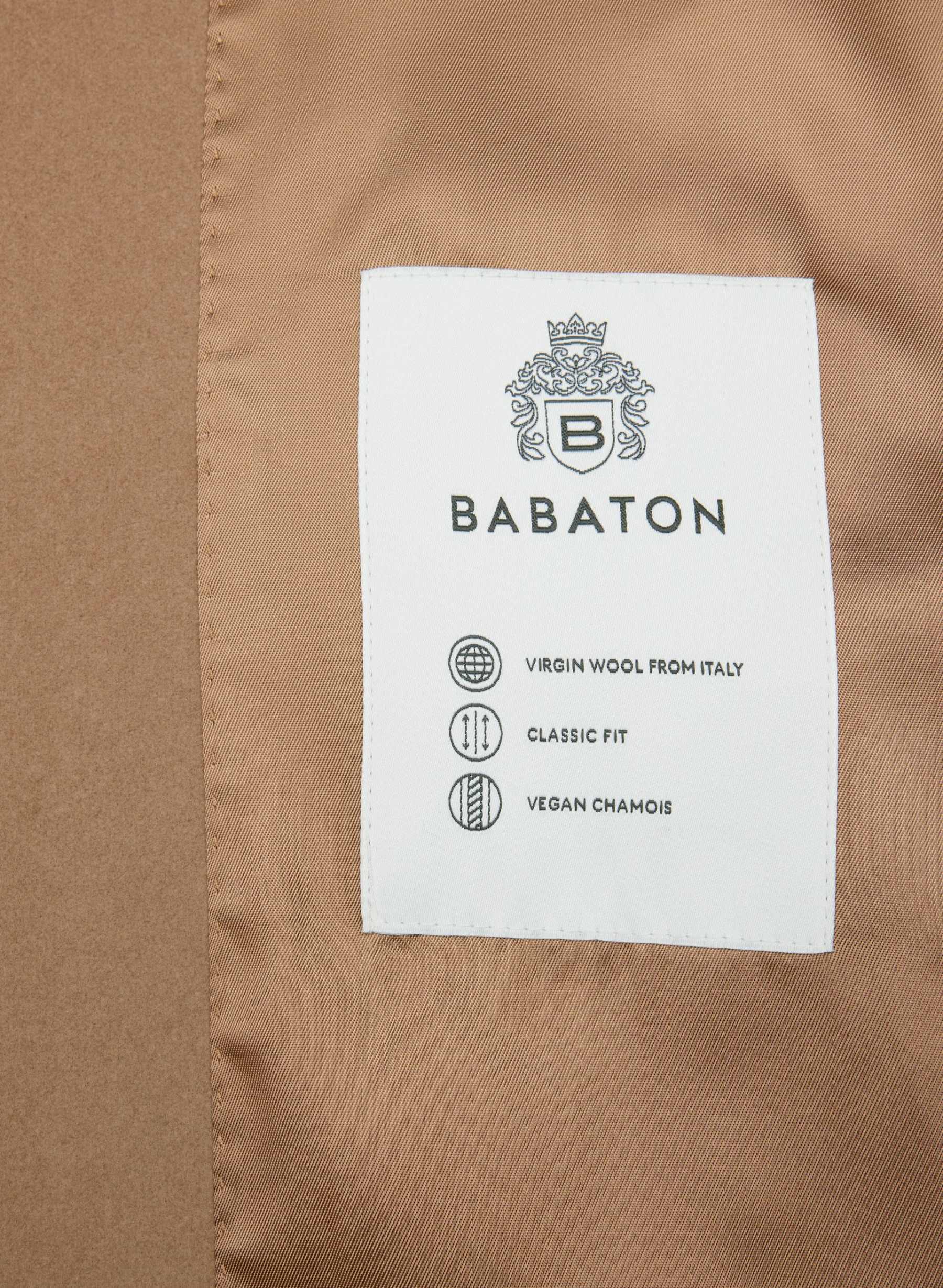 Babaton ESTATE COAT | Aritzia CA