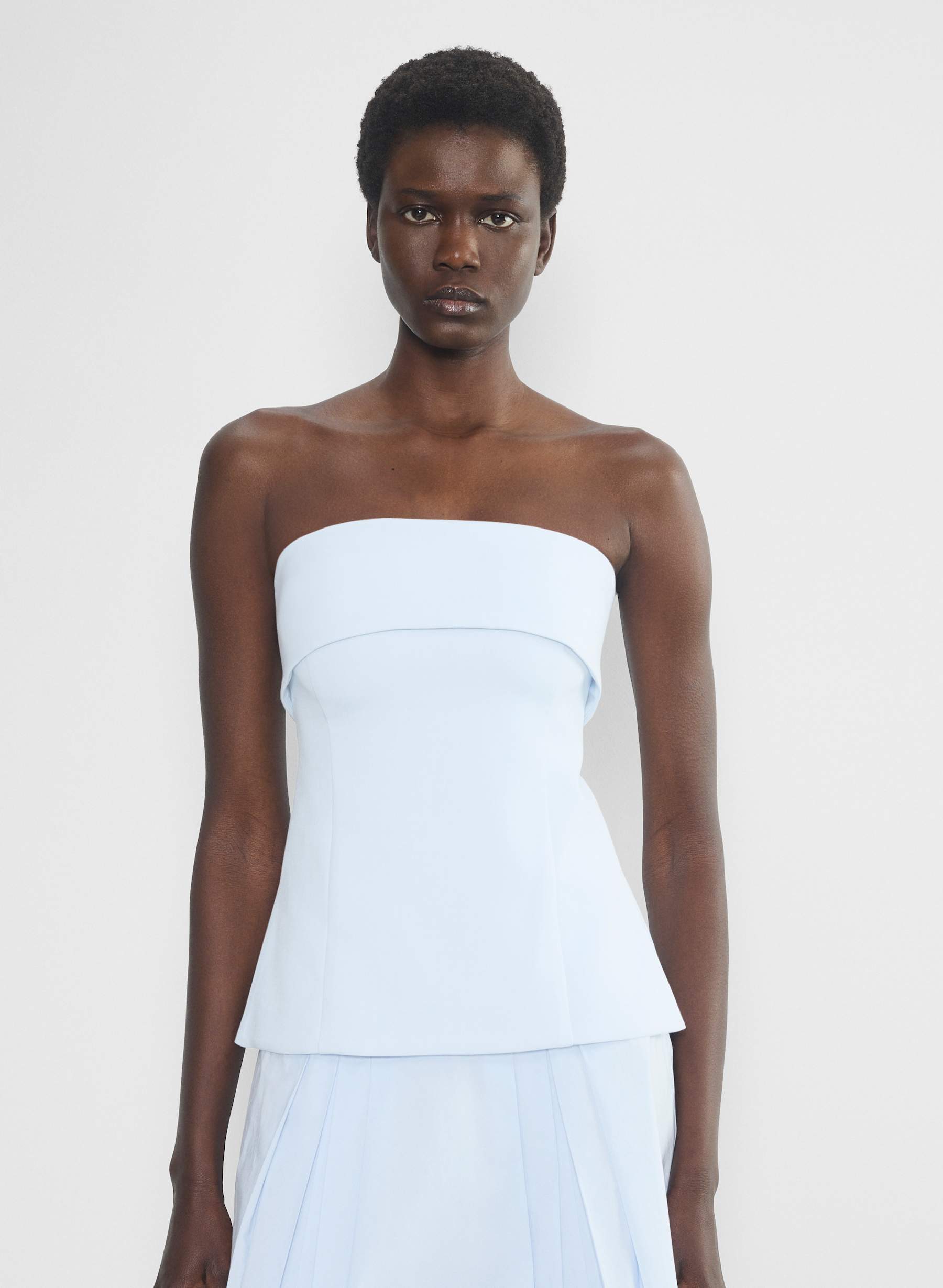 Babaton ELEMENT TUBE TOP | Aritzia CA
