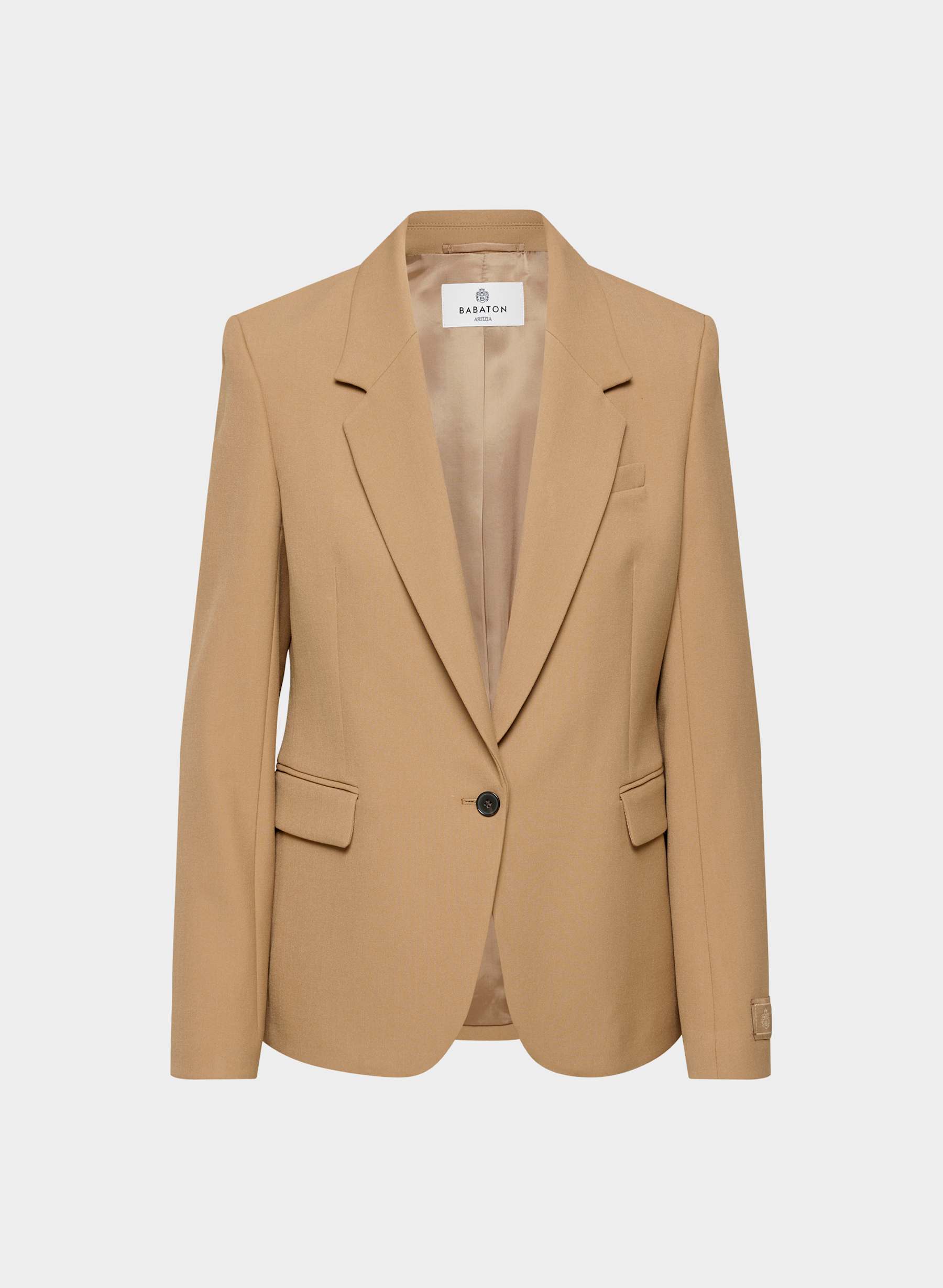 Babaton PRODUCER BLAZER | Aritzia INTL