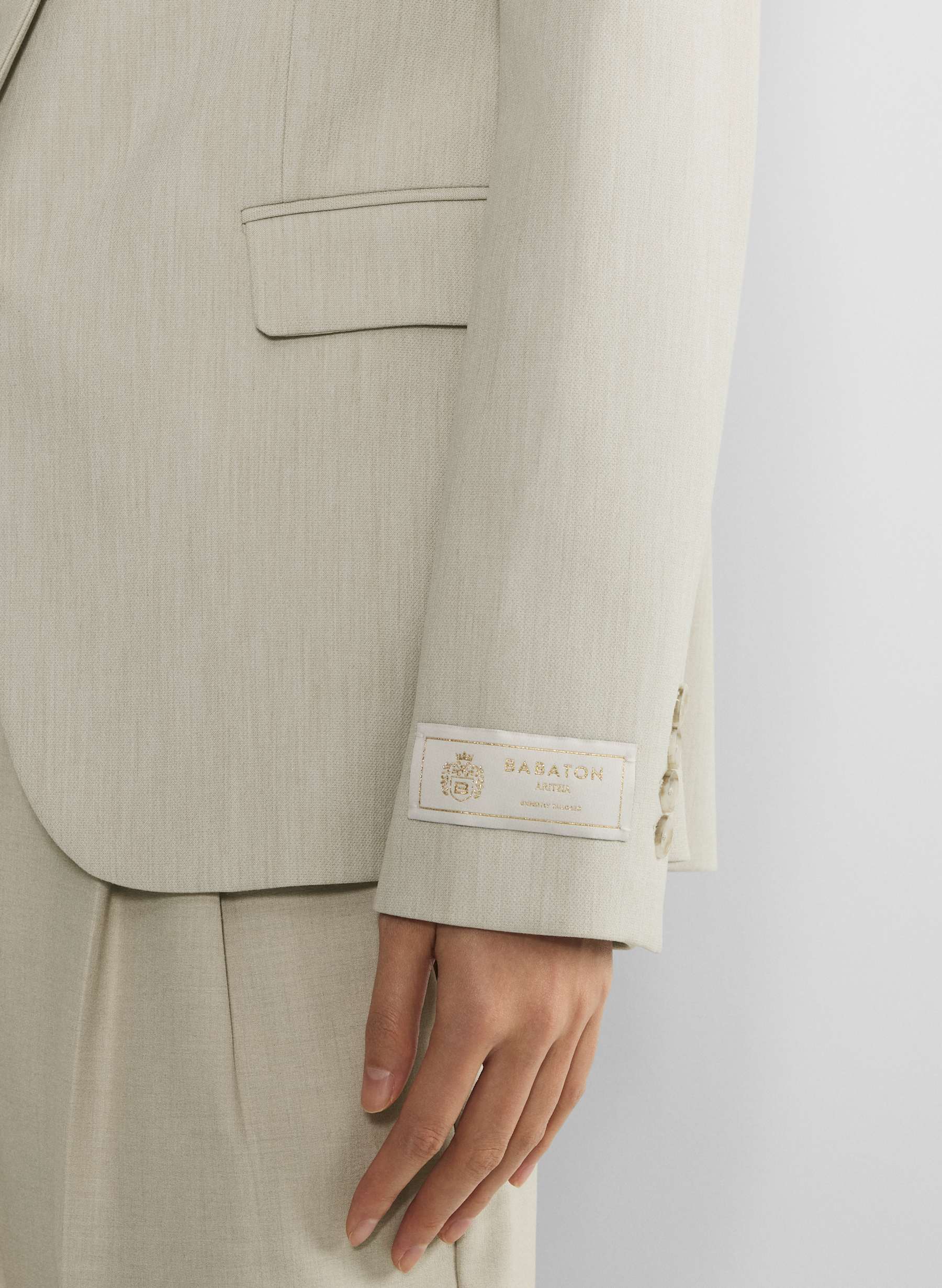 Babaton PRODUCER BLAZER | Aritzia INTL