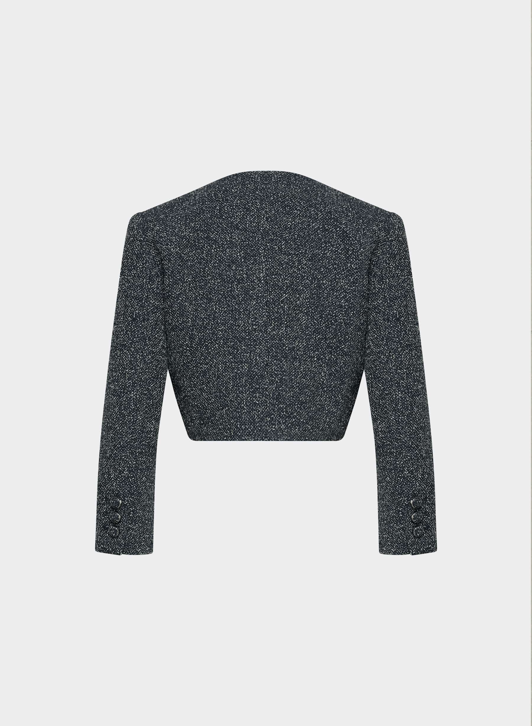 Babaton ACQUIRE JACKET | Aritzia CA