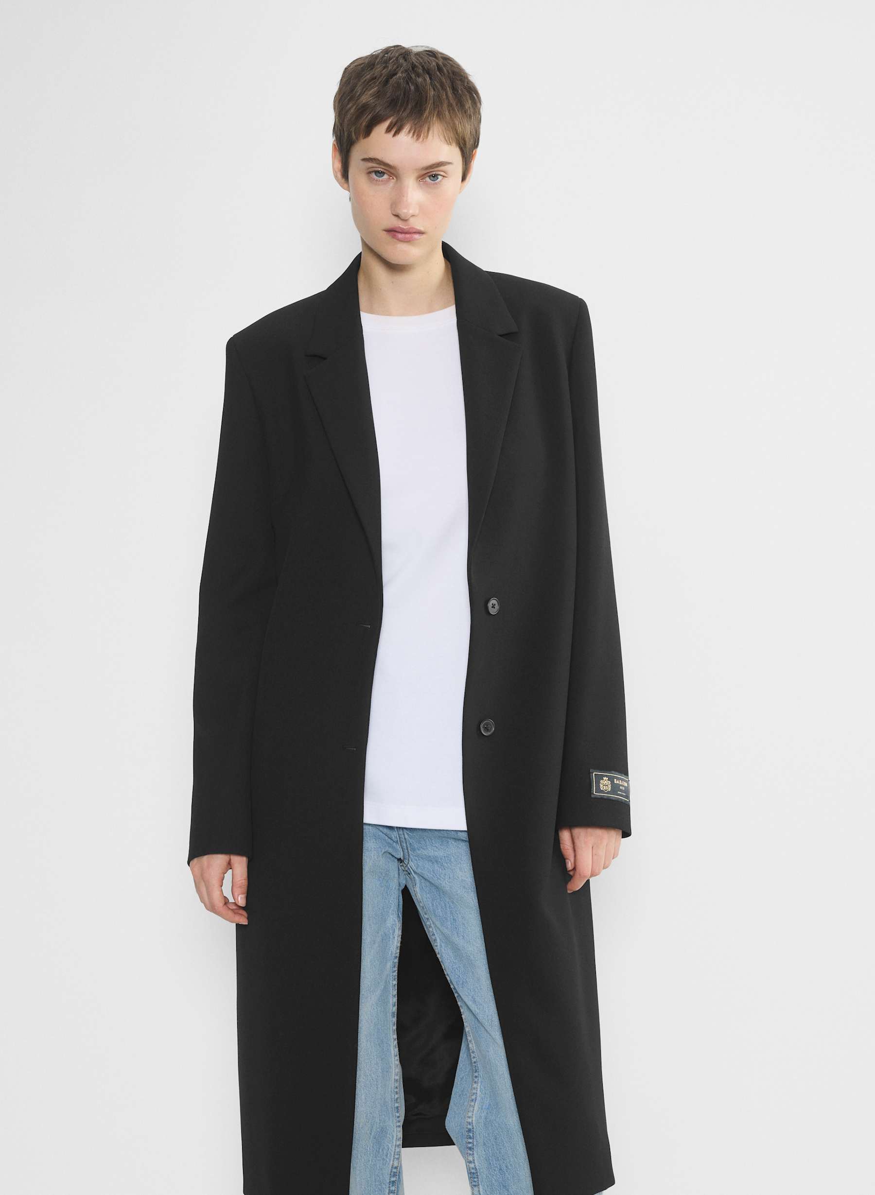 Babaton LEDGER COAT | Aritzia CA