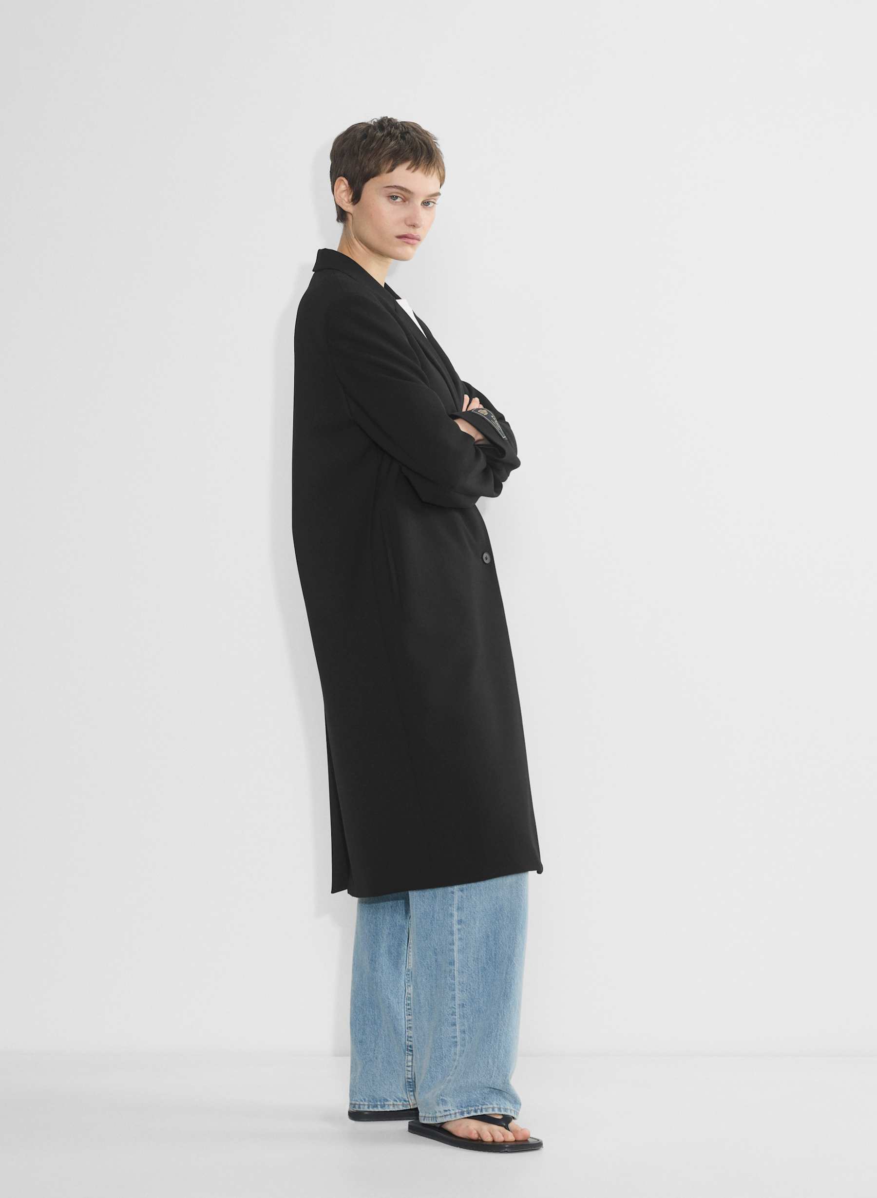 Babaton LEDGER COAT | Aritzia CA