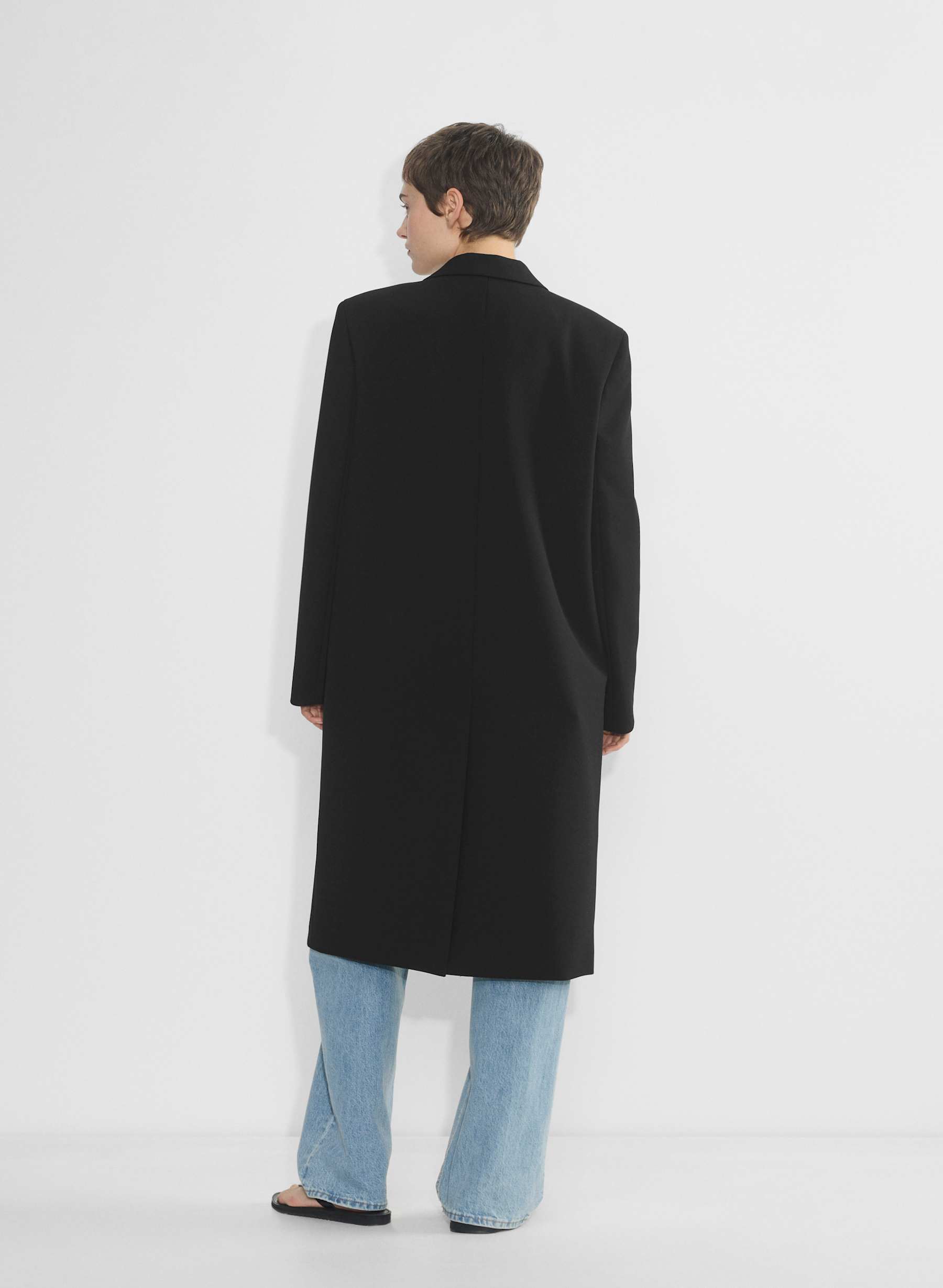 Babaton LEDGER COAT | Aritzia CA