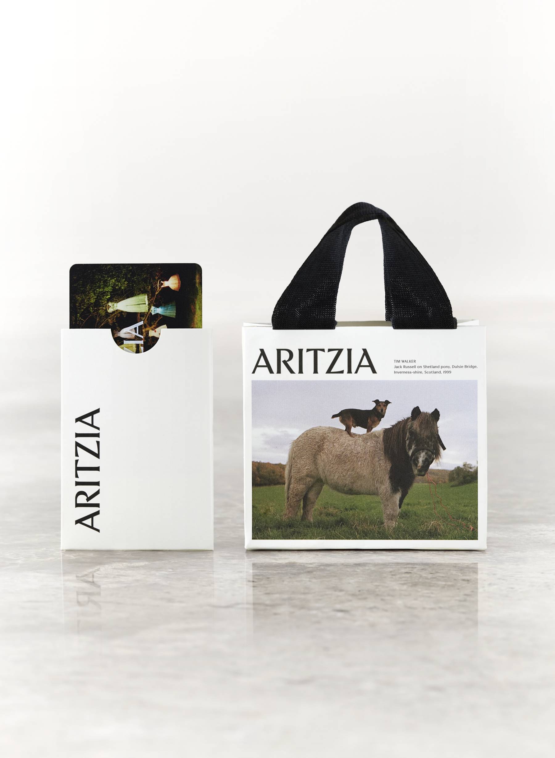 Aritzia GIFT CARD